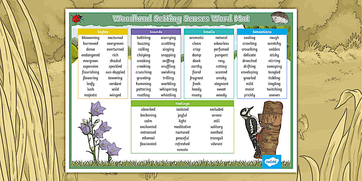 Woodland Setting Senses KS2 Word Mat | Twinkl Originals